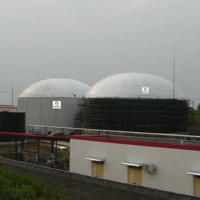 China Green PDFE Double Membrane Biogas Holder Gas Holder In Biogas Plant for sale