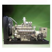 China Organic Fuel Electricity Generator With Automatic Voltage Regulation for sale