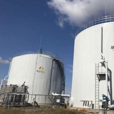 Cina Impianto di gas anaerobico di Gobar del reattore di IC del concime di rifiuti organici piccolo in vendita