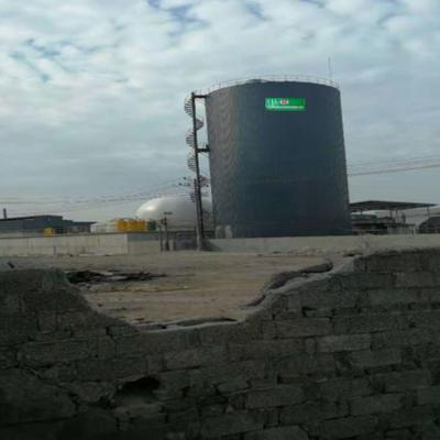 Cina Trattamento delle acque reflue anaerobico dell'attrezzatura di digestione anaerobica del digestore di CSTR in vendita