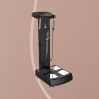 China Commercial Body Analyzer Machine Scale Body Composition Analysis Machine for sale
