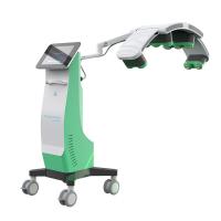 China Vertical 10d Laser Slimming Machine For Cellulite Removal for sale