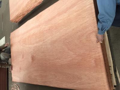 China bintangor  face veneer for sale