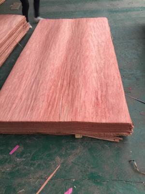 China Bintangor veneer for sale