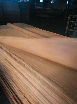 China sell PLB  veneer for sale