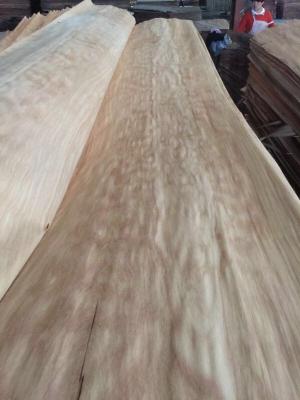 China sell face veneer for sale