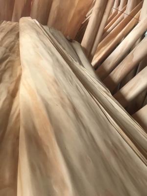 China pine face veneer for sale