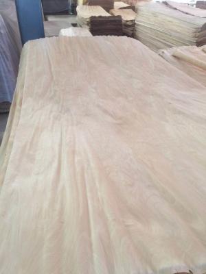 China birch veneer for sale