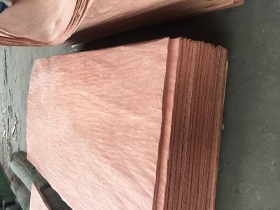 China Bintangor veneer for sale
