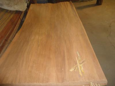 China Watergum veneer for sale