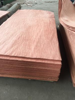 China Bintangor veneer for sale