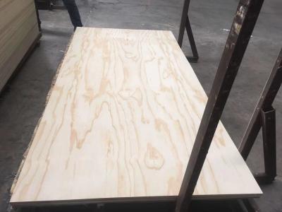 China Pine  veneer for sale