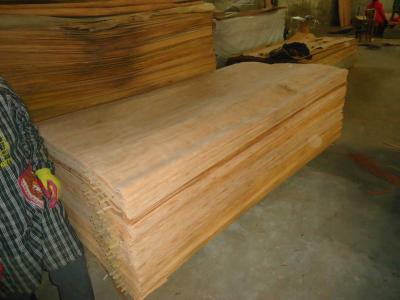 China watergum  face veneer for sale