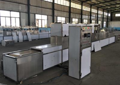 Cina Progettazione a macchina dello SpA dell'essiccazione di microonda del condimento e di operazione sicura di sterilizzazione in vendita