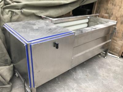 China Mandioca industrial de trabalho contínua Peeler da máquina de lavar do alimento da eficiência elevada à venda