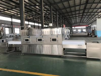 China Secagem de secagem industrial verificável do sésamo de Gingili do equipamento de micro-ondas da velocidade da correia à venda