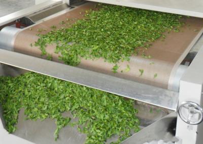 Cina Controllo a macchina di microonda delle foglie di tè dello SpA industriale dell'essiccazione e di sterilizzazione in vendita