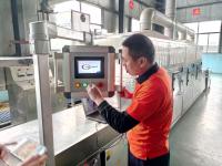 China Tunnel Type Automatic Microwave Drying And Sterilization Machine , Nutmeg Drying Machine for sale
