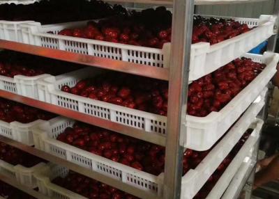 Cina Essiccamento rosso elettrico della frutta e della verdura della macchina dell'essiccatore dell'aria calda della giuggiola a basso rumore in vendita