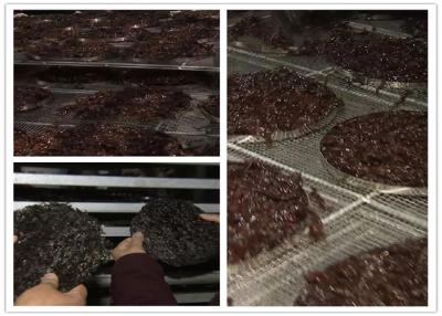 Cina Alto essiccatore della pompa di calore delle alghe dell'ulva dell'agar dell'asciugatrice di Nori di produttività in vendita
