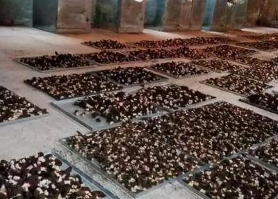China Multi - máquina de secagem do Morchella da máquina de secagem de bomba de calor da estrutura da bandeja da camada à venda