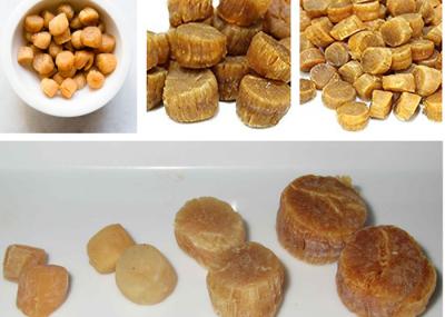Cina La macchina dell'essiccatore dell'aria calda dell'aletta dello squalo del disidratatore dei frutti di mare smerla l'asciugatrice in vendita