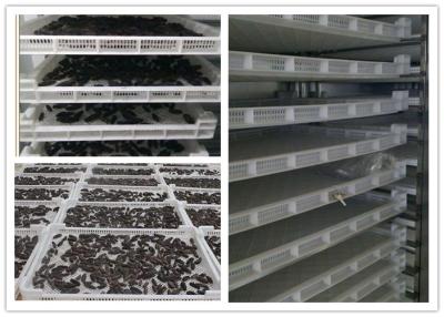 Cina La macchina dell'essiccatore dell'aria calda dell'aletta dello squalo del disidratatore dei frutti di mare smerla l'asciugatrice in vendita