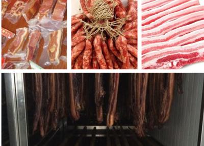 Cina Macchina conservata dell'essiccatore della salsiccia dei prodotti dell'asciugatrice della carne dell'aria calda SUS304 in vendita