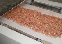 China Peanut Microwave Drying And Sterilization Machine Cocoa Bean Dryer Nuts Roasting for sale
