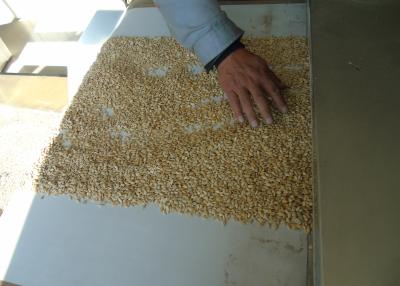 China Het Drogen en de Sterilisatie het Drogere de Noten van de MachineCacaoboon van de pindamicrogolf Roosteren Te koop