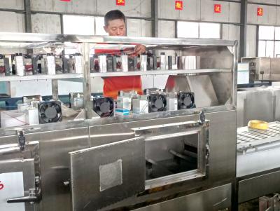 Cina Asciugatrice continua della lettiera dell'impianto di essiccazione di a microonde di elettricità di 50 chilowatt in vendita