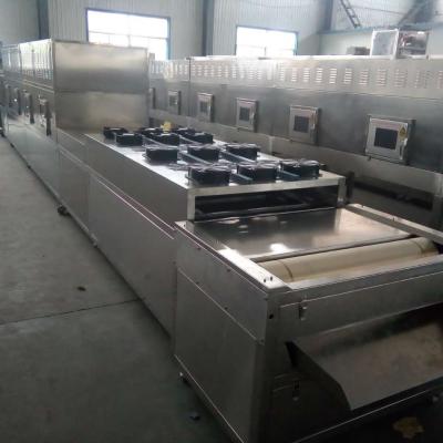 Cina Tipo industriale essiccazione del tunnel di microonda e macchina di sterilizzazione per il nocciolo di palma Shell in vendita