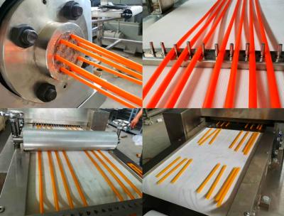 Cina Linea di produzione commestibile della paglia di riso della bevanda della paglia dell'espulsore vite degradabile della macchina della singola in vendita