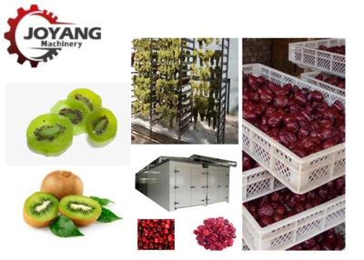 Cina SUS 	Forno più asciutto della data della giuggiola del Durian del limone della macchina dell'essiccatore dell'aria calda in vendita