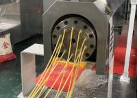 China Biodegradable Edible Drinking Rice Tapioca Straw Production Line for sale