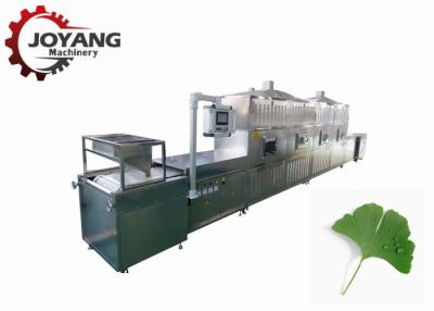 Cina Tipo asciugatrice del tunnel di microonda della foglia del ginkgo in vendita