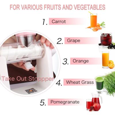 China MULTIFUNCTIONAL MANUAL JUICER FOR HOME USE D598 for sale