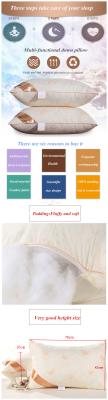 China Home and hotel pillow for sale