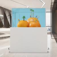 China Desktop 55 Inch OLED Transparent Screen Automatic Rising Lowering Display for sale