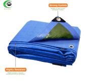 Quality Multi Purpose Waterproof Tarpaulins Blue / Green 70-120GSM for sale