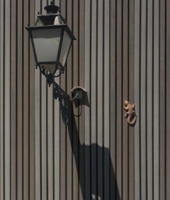 China Typically 202mm X 20.5mm Wood Plastic Composite Wall Panel UV Stabilized Long-Lasting Maintenance Free Wall Cladding System for sale