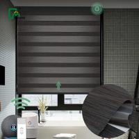 Quality Dual Layer Electric Smart Zebra Blinds With Remote Control Privacy Light for sale