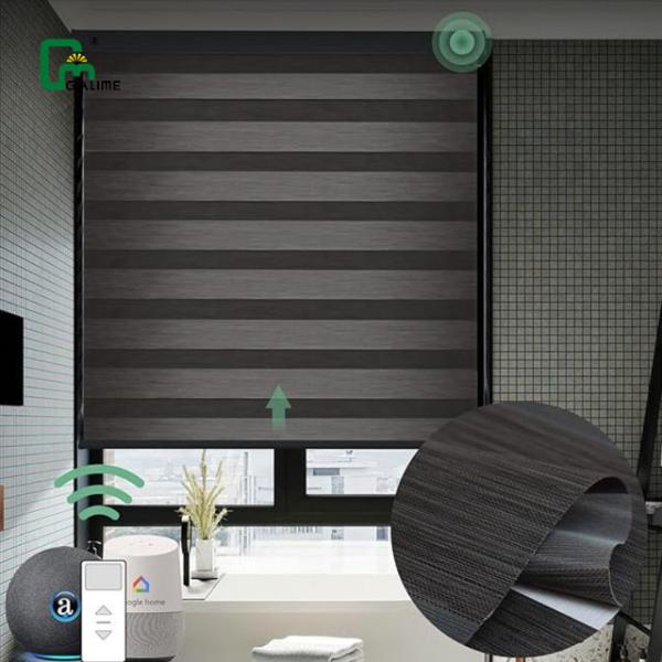 Quality Dual Layer Electric Smart Zebra Blinds With Remote Control Privacy Light Filtering for sale