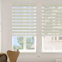 Quality Modern Minimalist Smart Zebra Blinds Motorized Polyester Window Shade For Living for sale