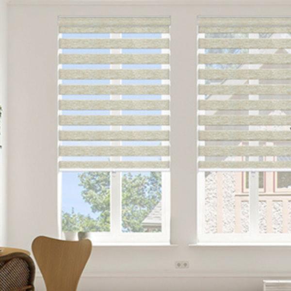 Quality Modern Minimalist Smart Zebra Blinds Motorized Polyester Window Shade For Living Room for sale