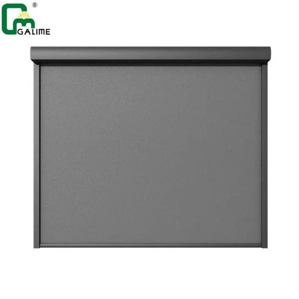 Quality Electric Smart Roller Blinds Remote Control Home Office Privacy Electric Blinds For Windows for sale