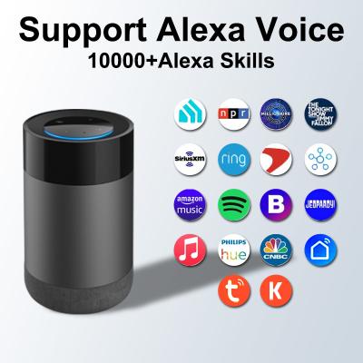 China Alexa Built-in Voice and IR Hub for Smart Curtain Control Systems with 360° Infrared and Wi-Fi for sale