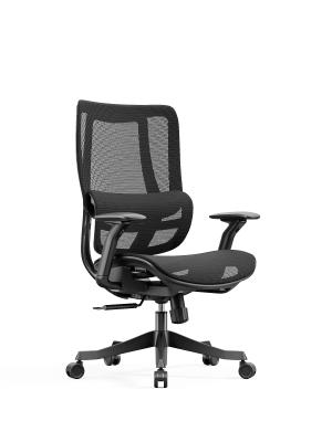China 150kg Max Weight Capacity Office Swivel Chair Adjustable Handrail Ergonomic Mesh Backrest Comfortable Seating for Office for sale