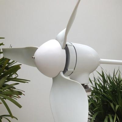 Cina Generatore eolico a magnete permanente orizzontale del generatore eolico 12V 24V 400W 600W dell'asse IP54 in vendita