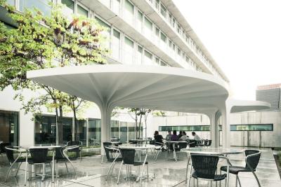 China Leaf Canopy Sculpture - Nature-Inspired Architectural Shade & Rain Protection for sale